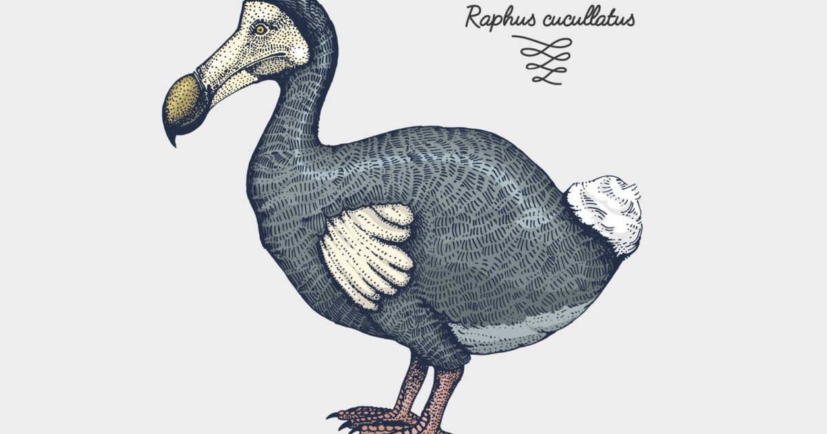 The Way of the Dodo | God's World News