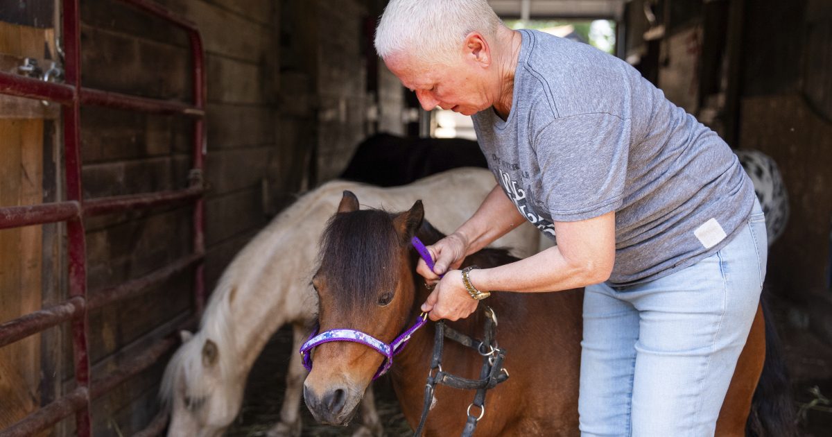 Why Own a Mini? | God's World News