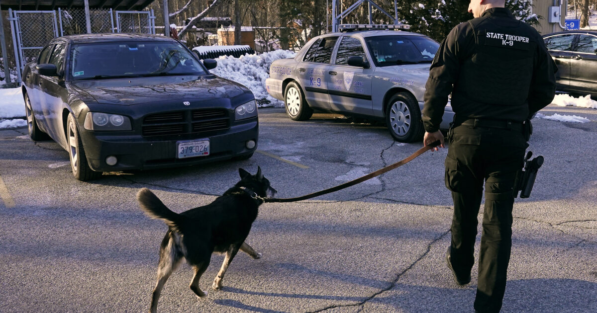 Ruby to the Rescue | God's World News