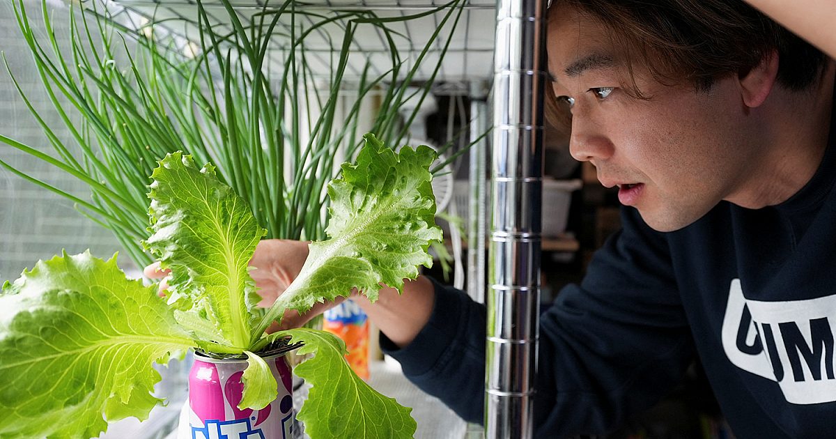 Living Room Farming | God's World News