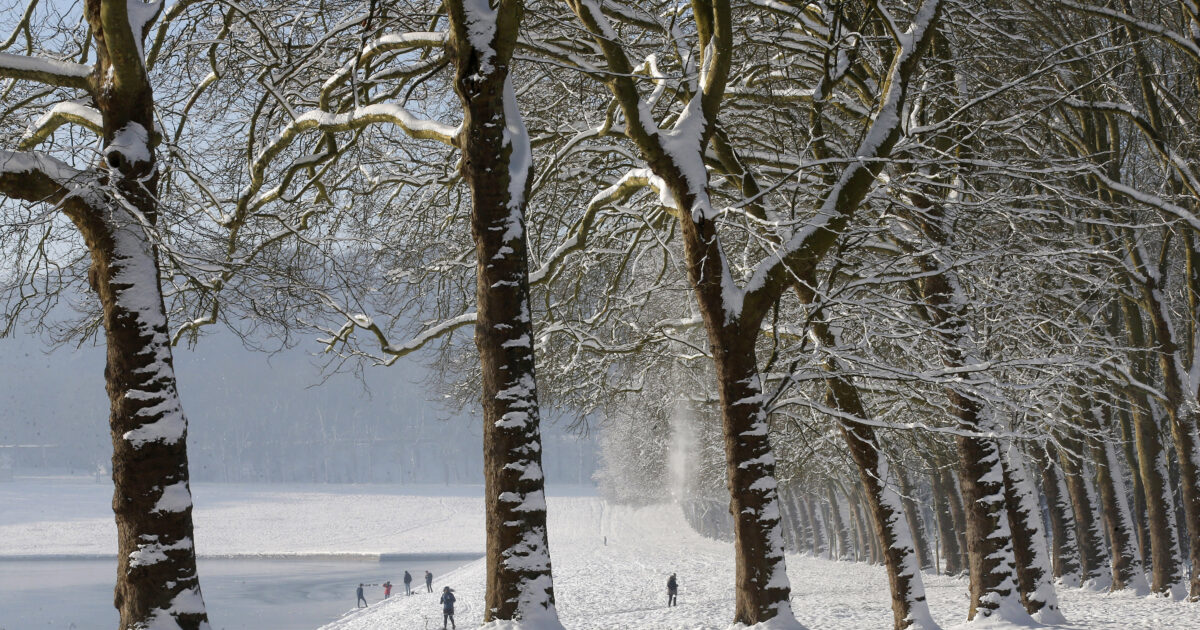 Snow—Safe to Eat? | God's World News