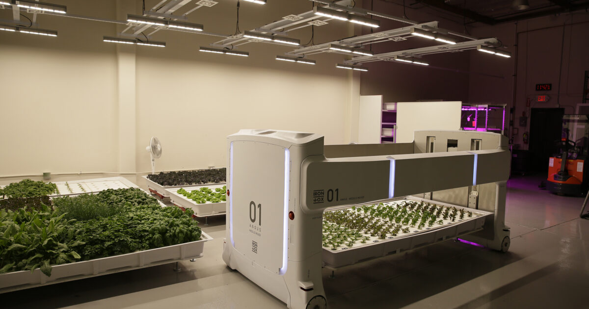 Robot Farm | God's World News