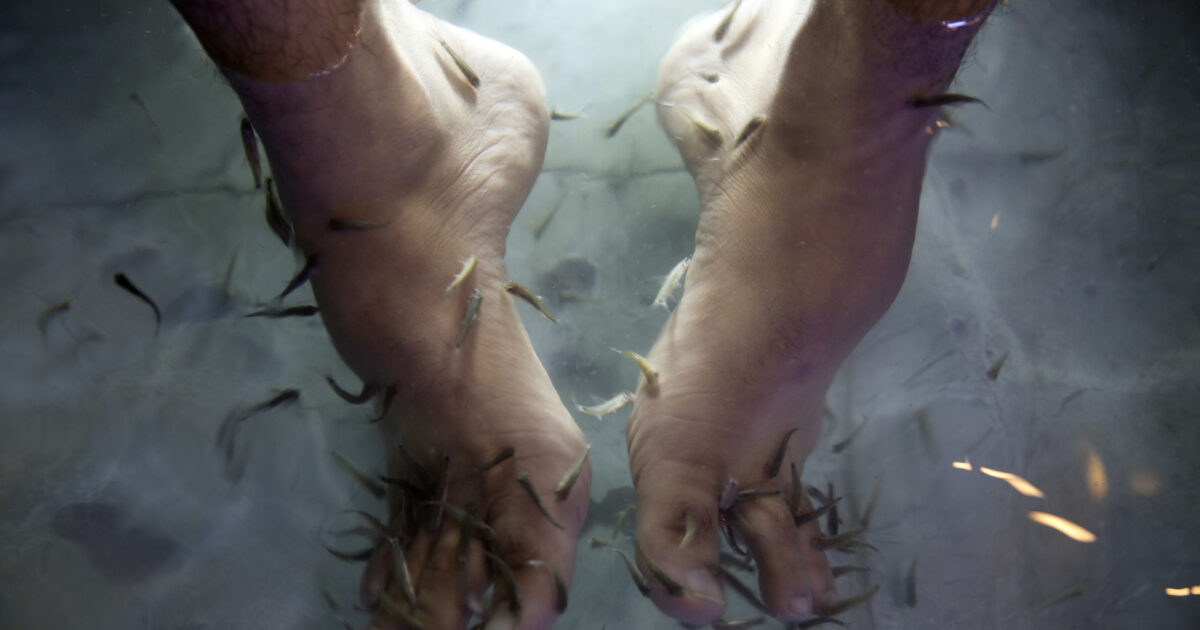 Fish for Feet | God's World News