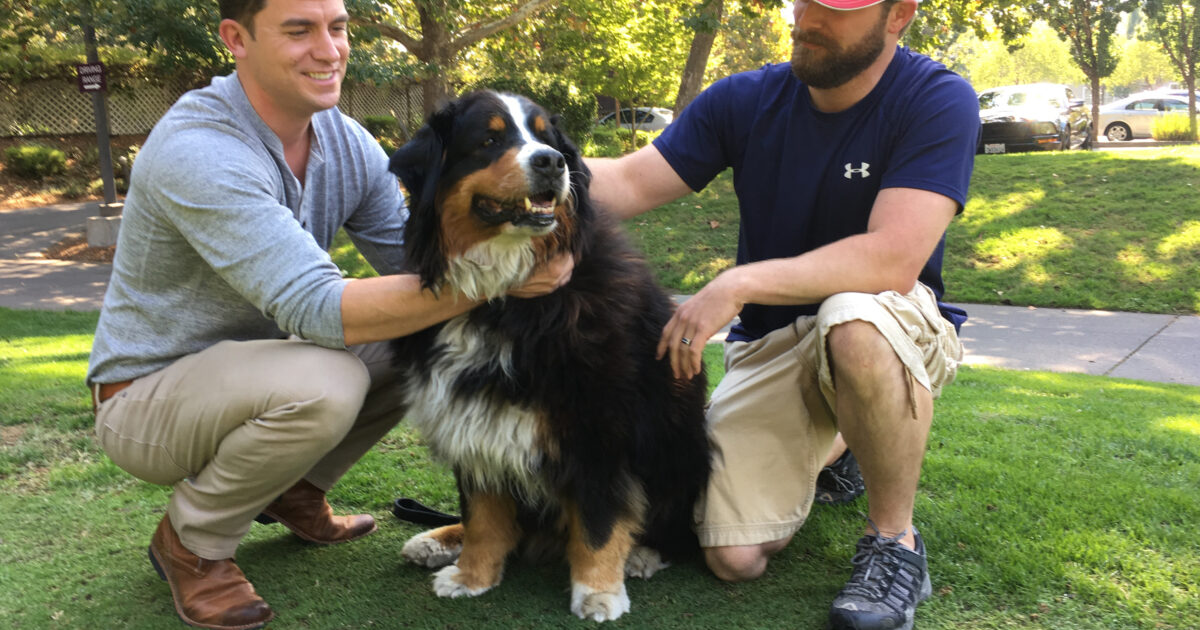 Finding Izzy | God's World News