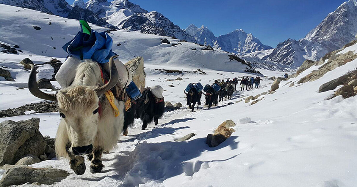 Climb Mount Everest | God's World News