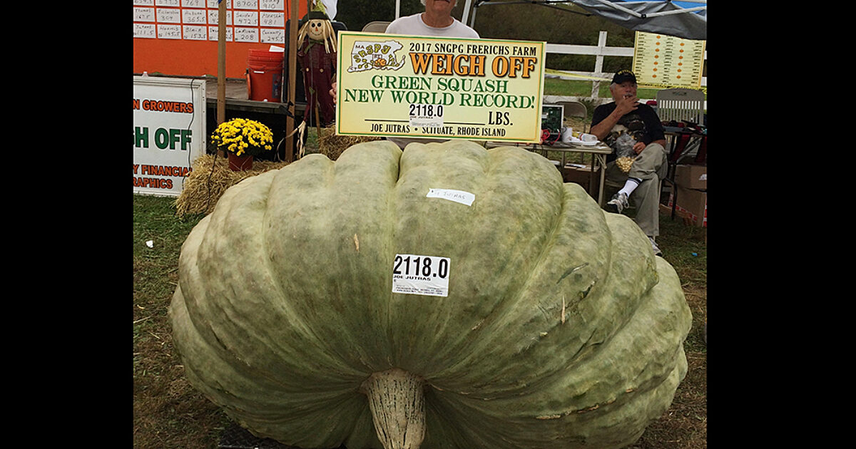 Record Squash | God's World News