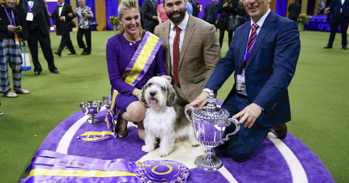 Winning Pup | God's World News