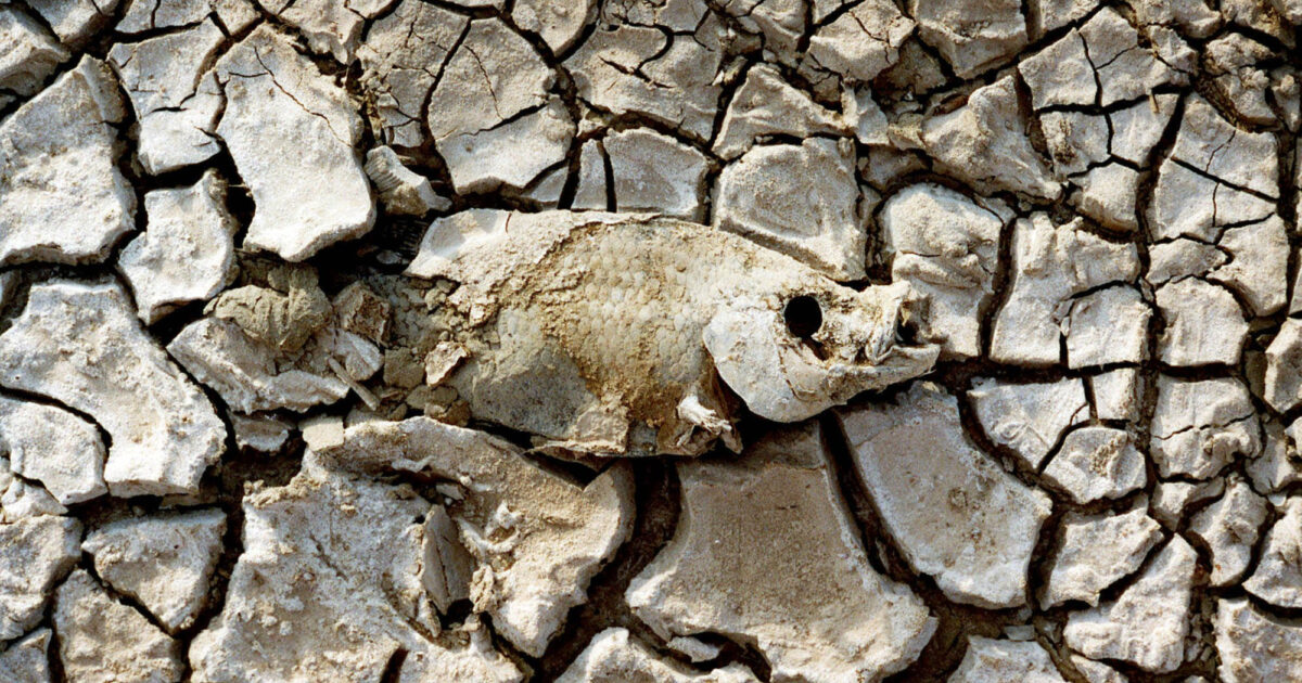 Stinky Sea | God's World News