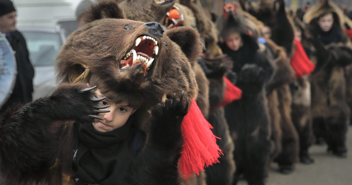 Bear Dance | God's World News