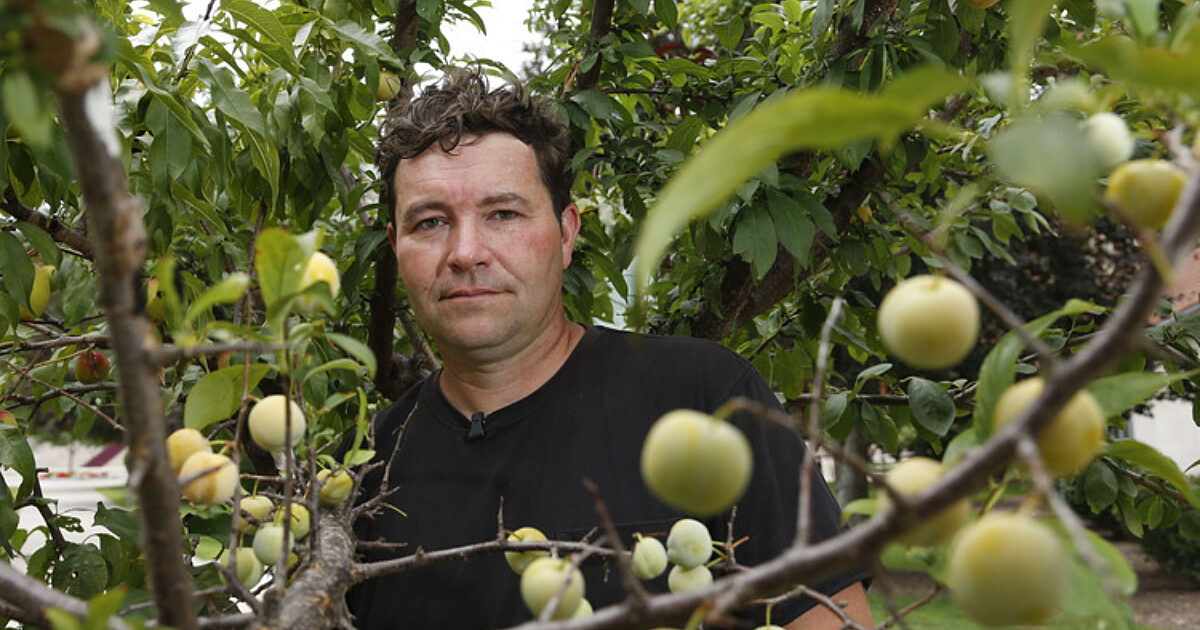 40 Fruit Tree | God's World News