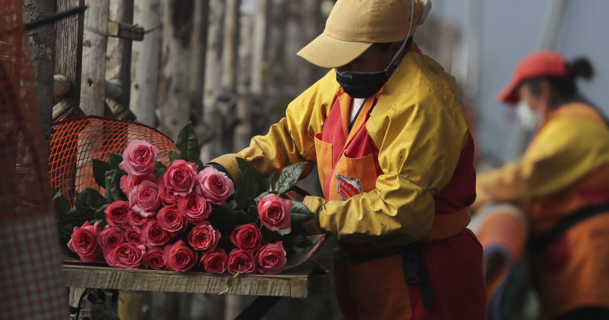 Too Many Flowers? | God's World News