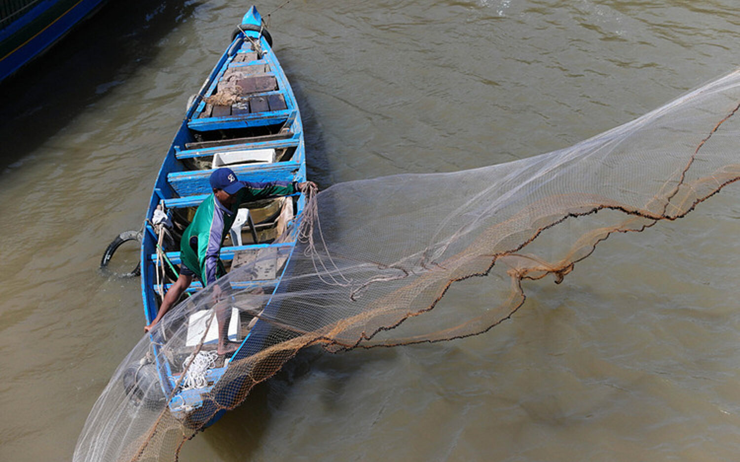 Fish in Trouble | God's World News