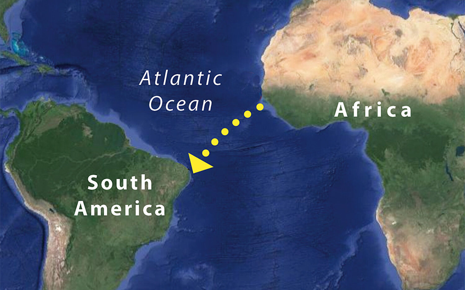 Swimmer Chases Deep-Sea Swim Record | God's World News