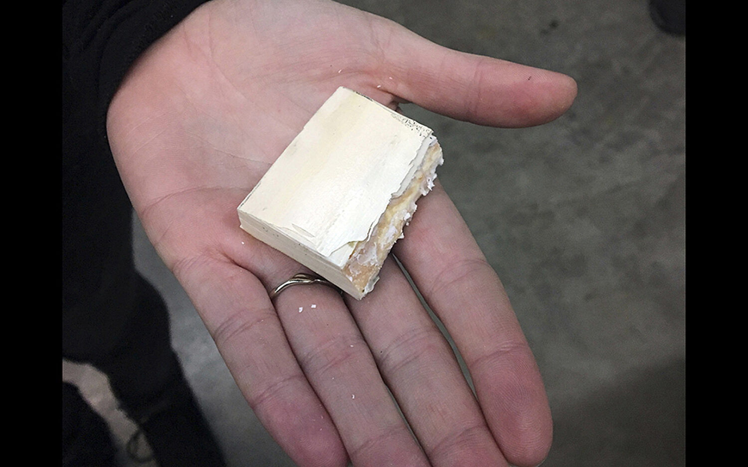 What Is Ivory? | God's World News