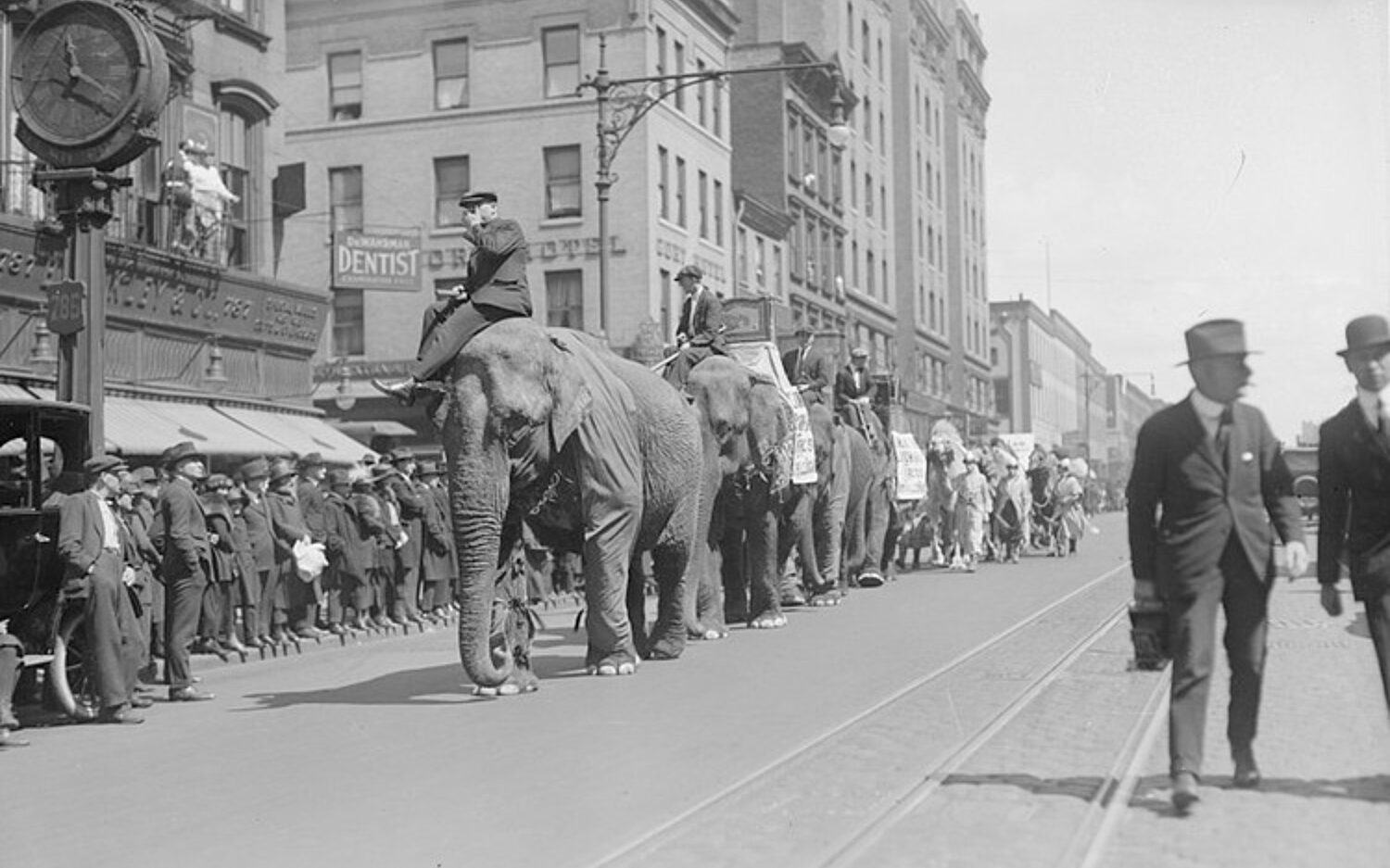 Circus Back Then | God's World News