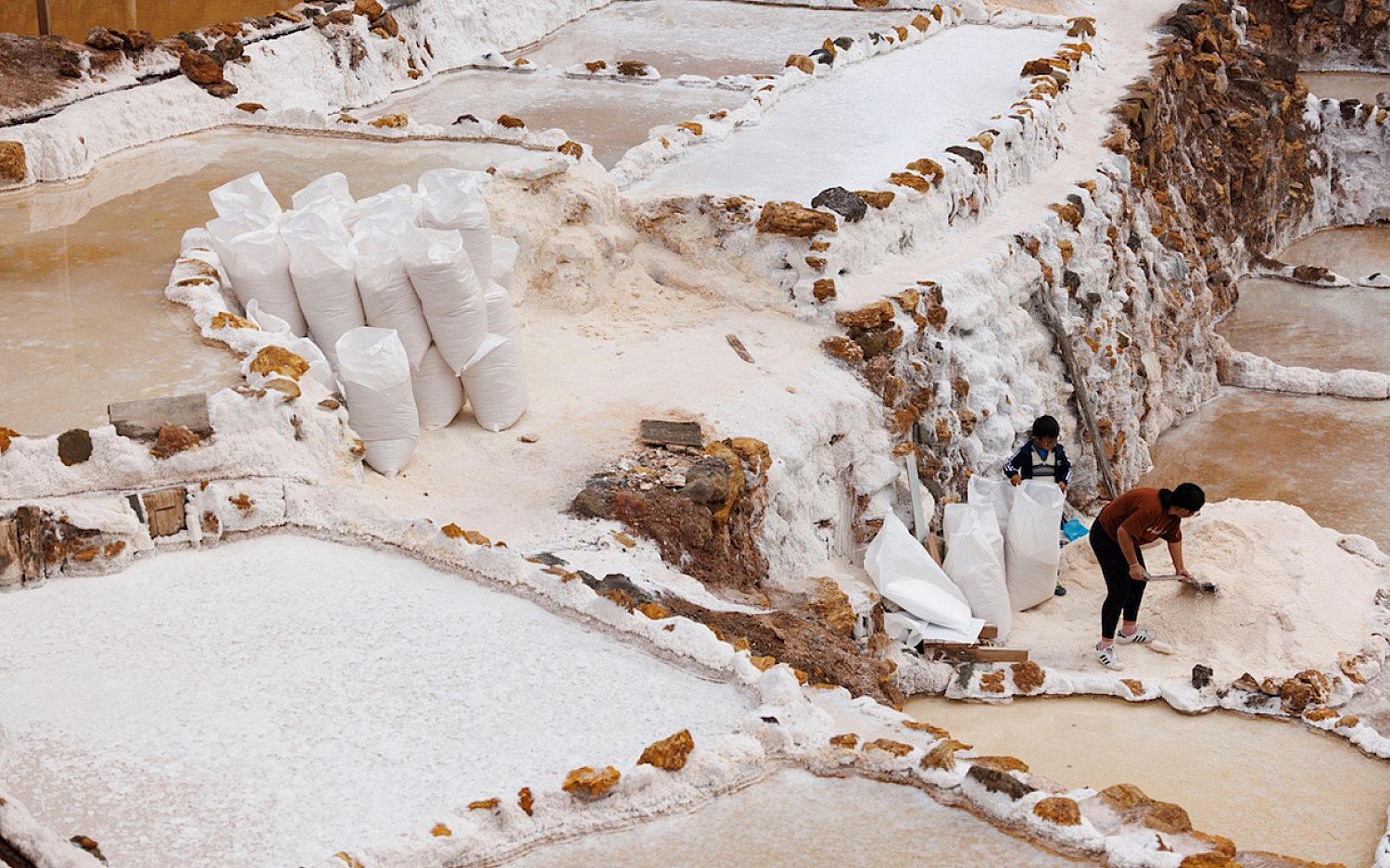 Salt of the Peruvian Earth | God's World News