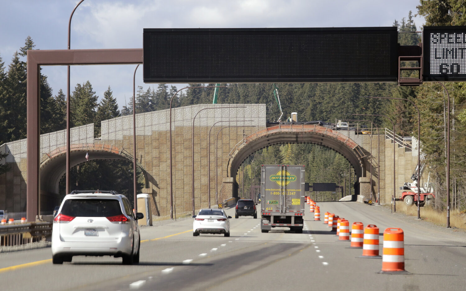 Wildlife Crossing! | God's World News