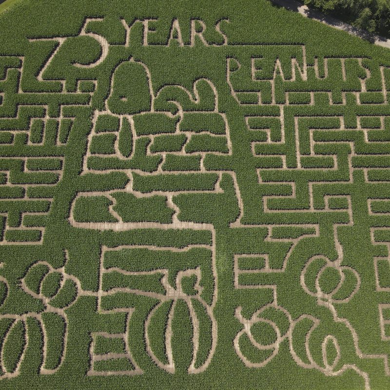 Peanuts Mazes A-Maze | God's World News
