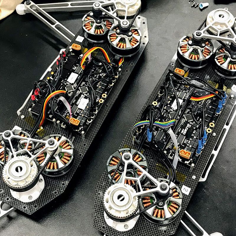 Make Your Own Doggo | God's World News