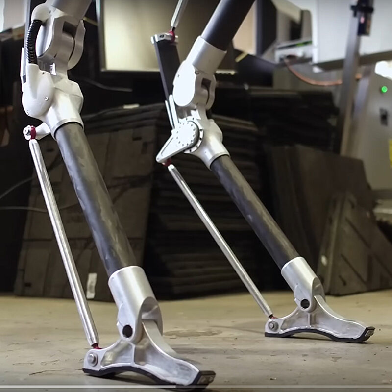 The Bipedal Problem | God's World News