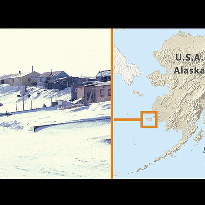 Mekoryuk’s “Cattle” | God's World News