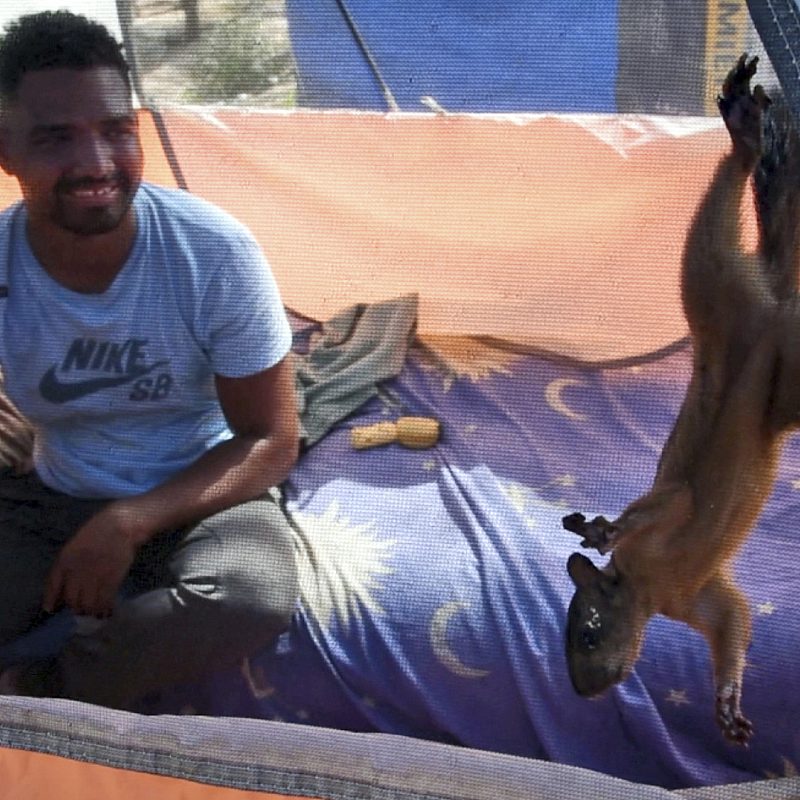 Goodbye at the Border | God's World News