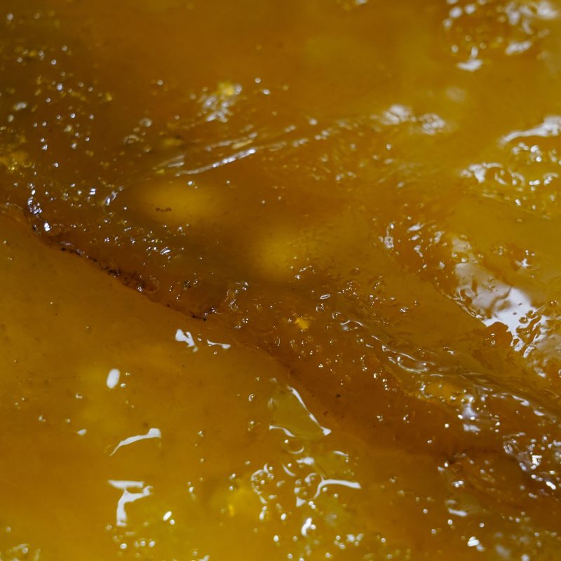 Where the Rubber Meets the Farm | God's World News