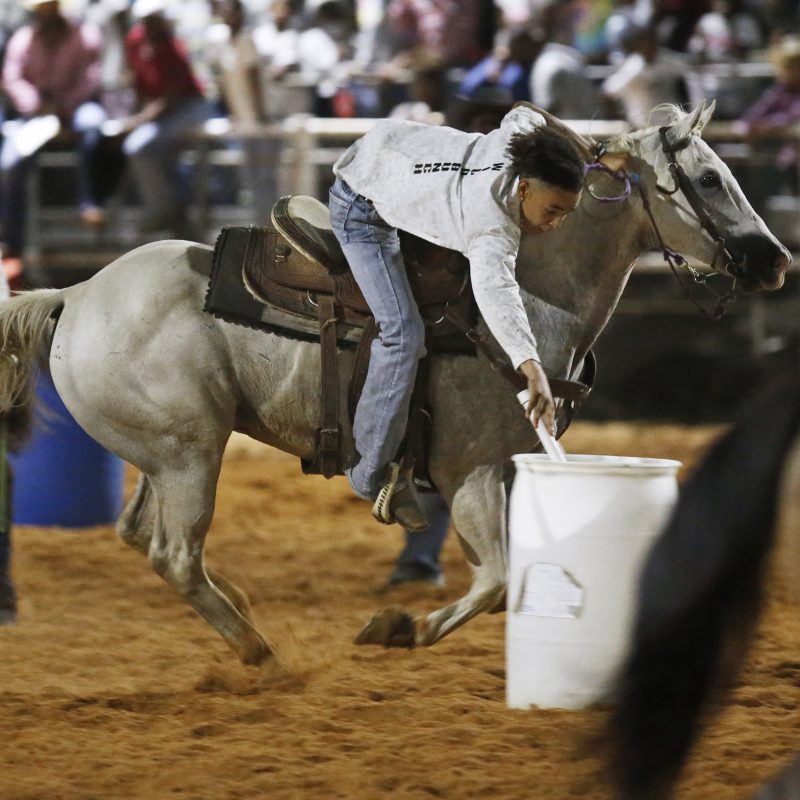 Not Your First Rodeo | God's World News