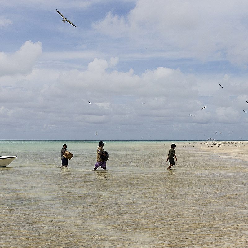 Reef Rangers of Palau | God's World News