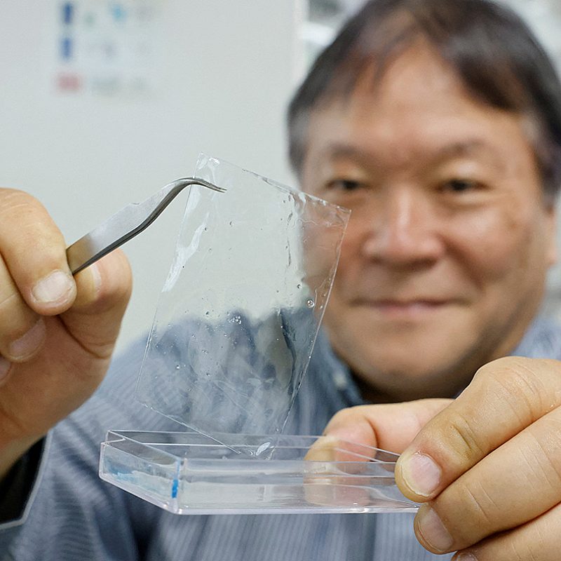 Current events magazines for kids ages 3-14 and… | God's World News