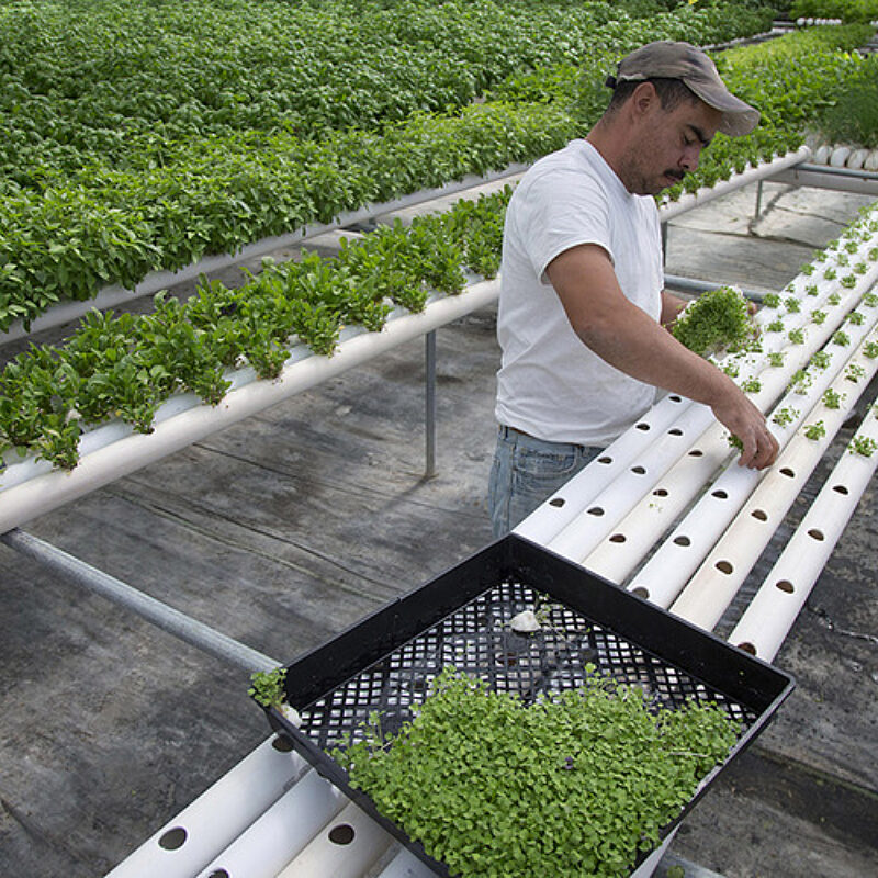 Goofy Gardening | God's World News