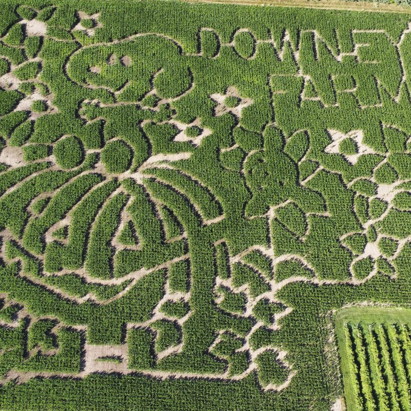 Peanuts Mazes A-Maze | God's World News