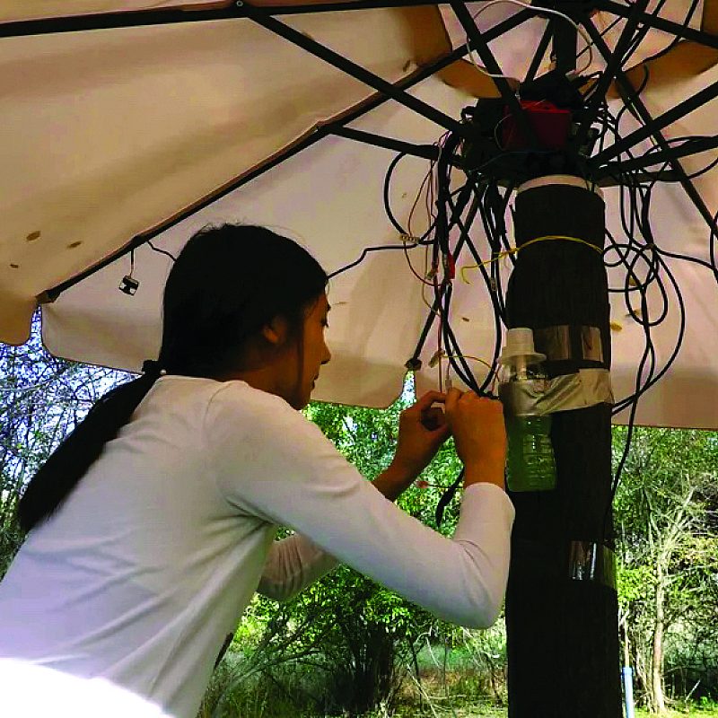 Teen Creates Lanternfly Zapper | God's World News