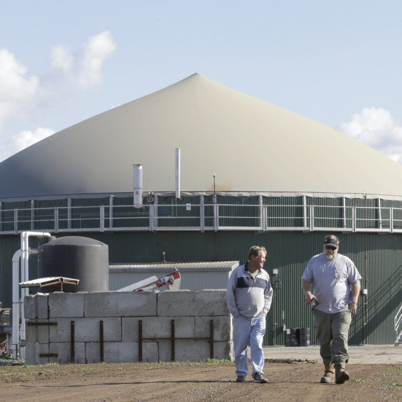 The MooLoo | God's World News