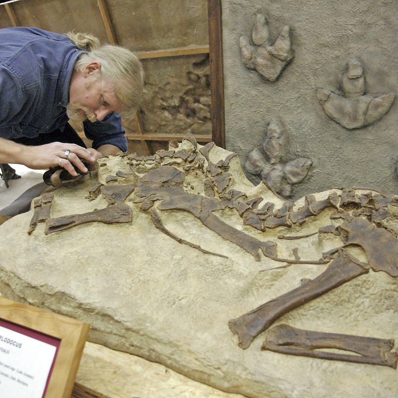 Paleontologists at Work | God's World News