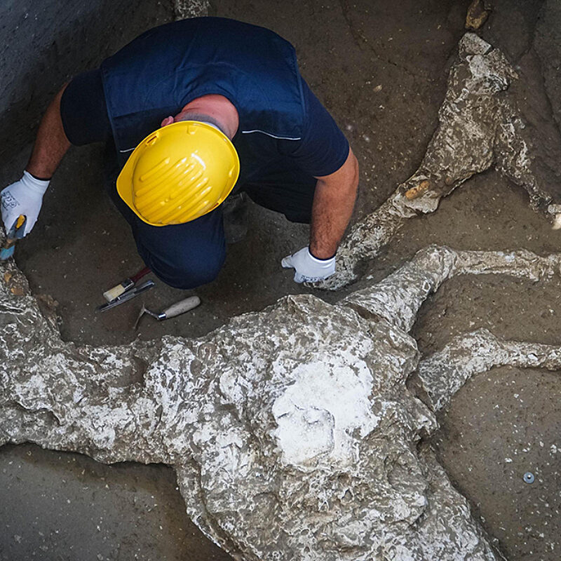 Digging Up Pliny’s Pompeii | God's World News