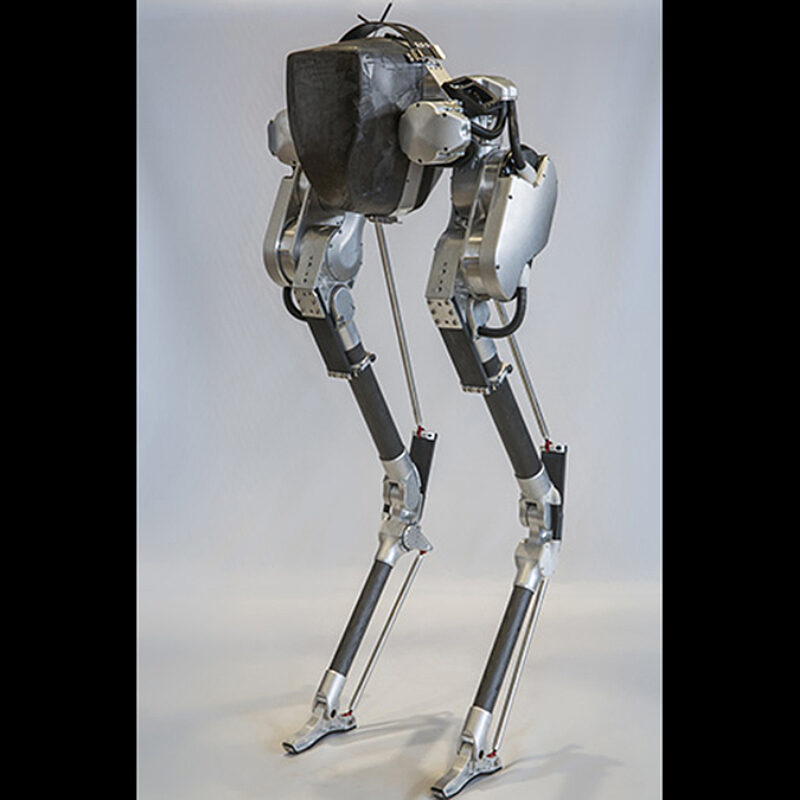The Bipedal Problem | God's World News