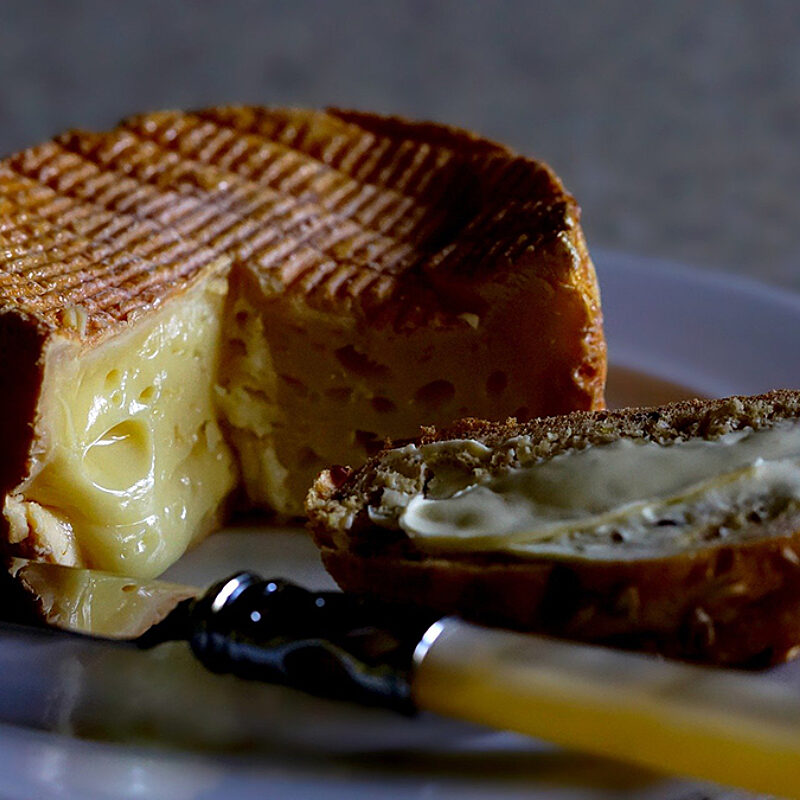 Cheese by Country | God's World News