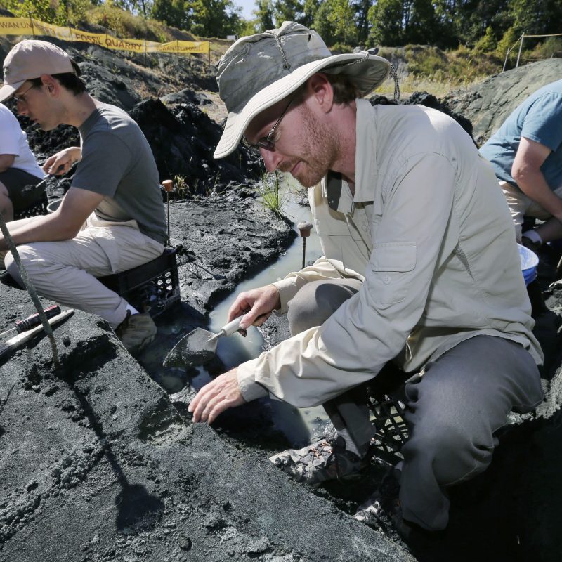 Paleontologists at Work | God's World News