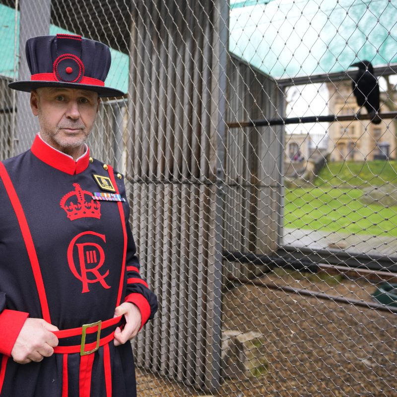 Ravenmaster Keeps England Aloft | God's World News