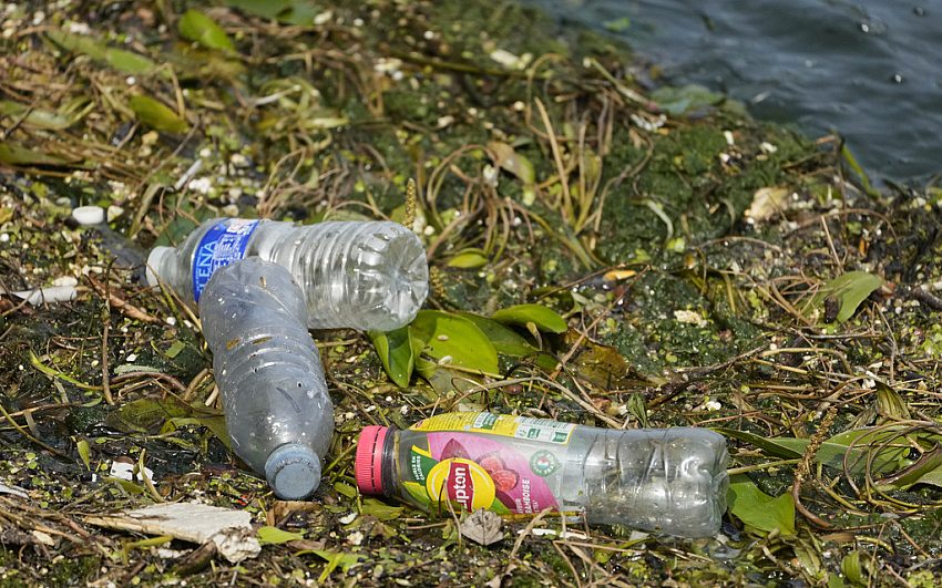 Plastic-Eating Fungus | God's World News