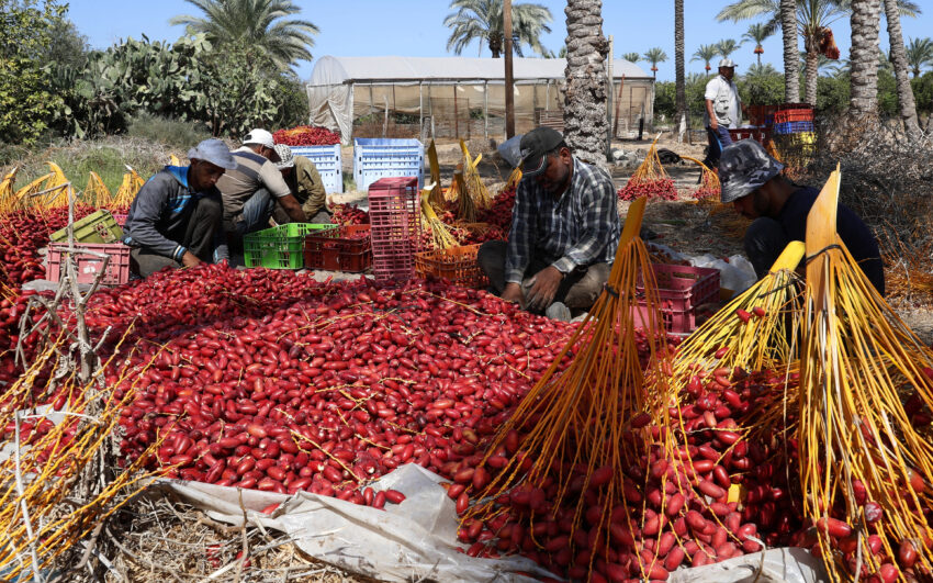 Gaza Strip Q&A | God's World News