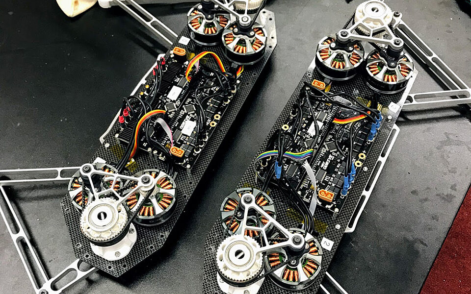 Make Your Own Doggo | God's World News