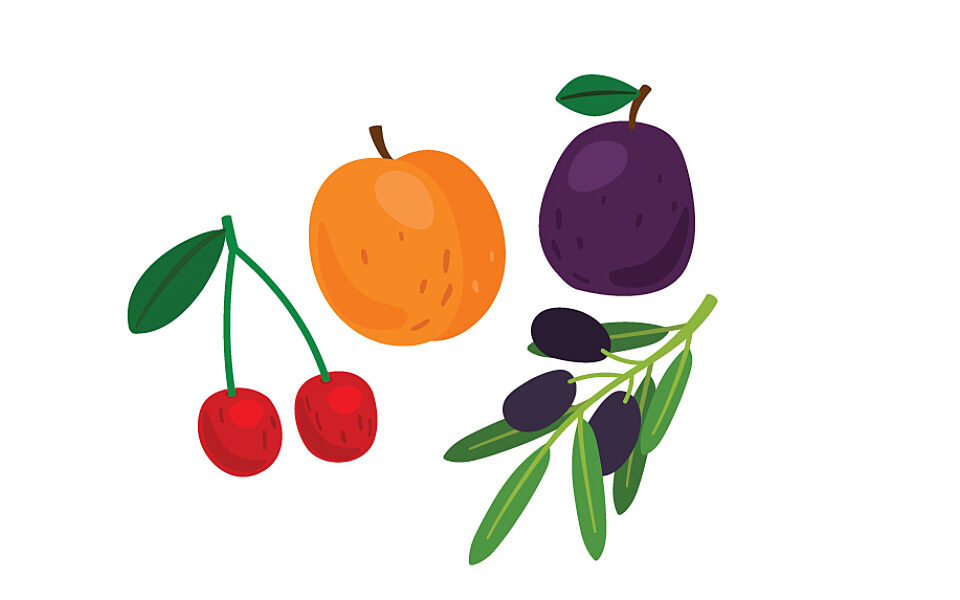 What Makes a Berry a Berry? | God's World News