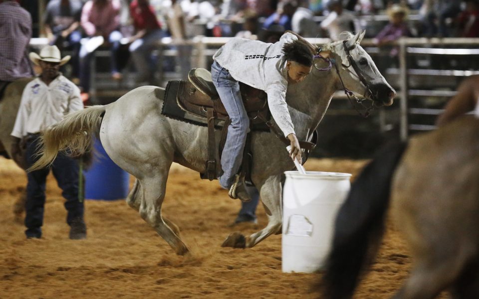 Not Your First Rodeo | God's World News