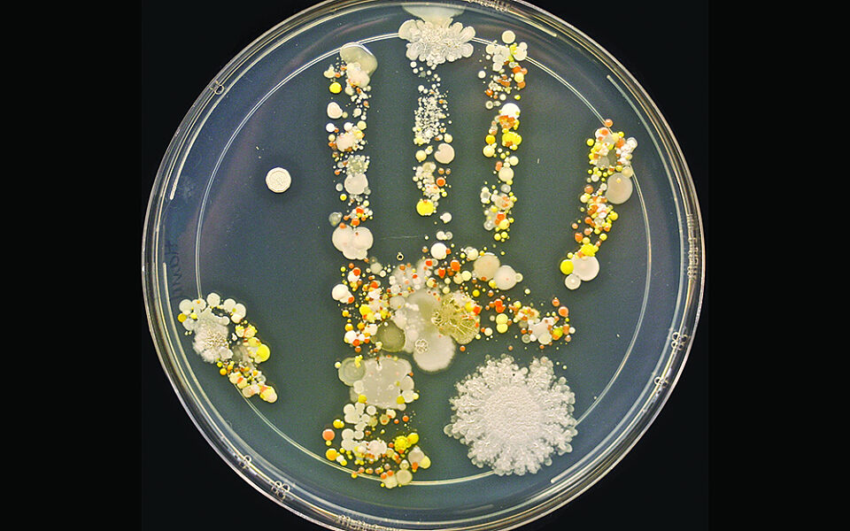 Thanks, Bacteria! | God's World News