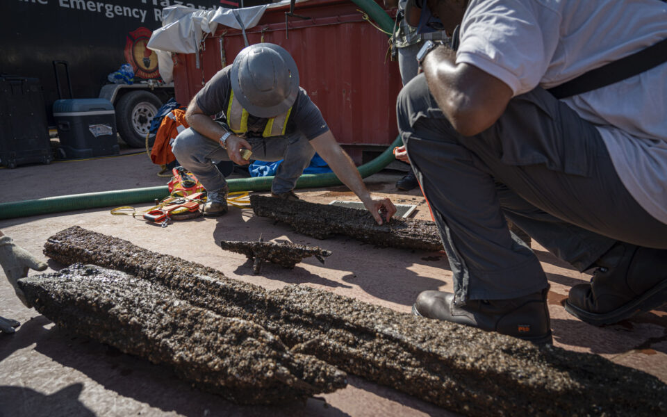 Understanding Clotilda | God's World News