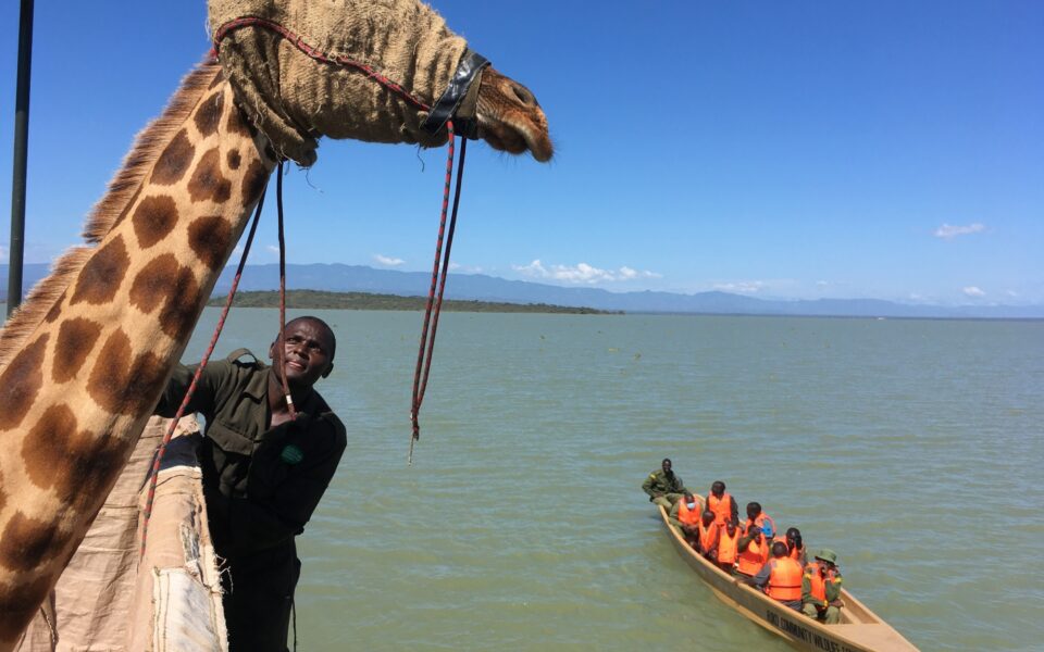 A Floating Giraffe Rescue | God's World News