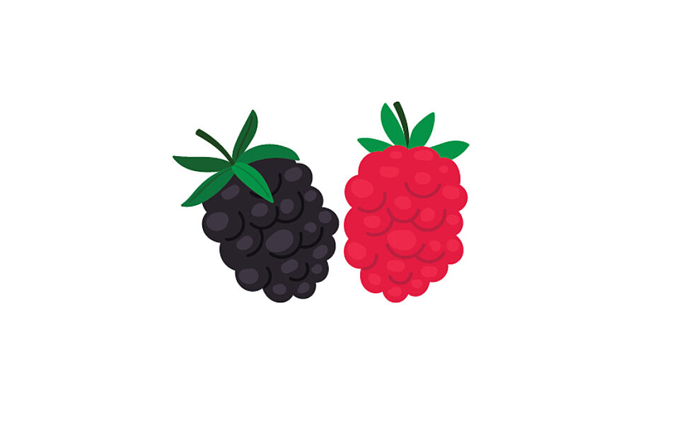 What Makes a Berry a Berry? | God's World News