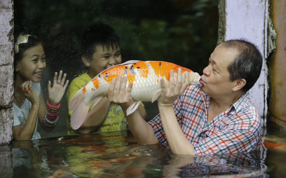 Goldfish Get Big | God's World News